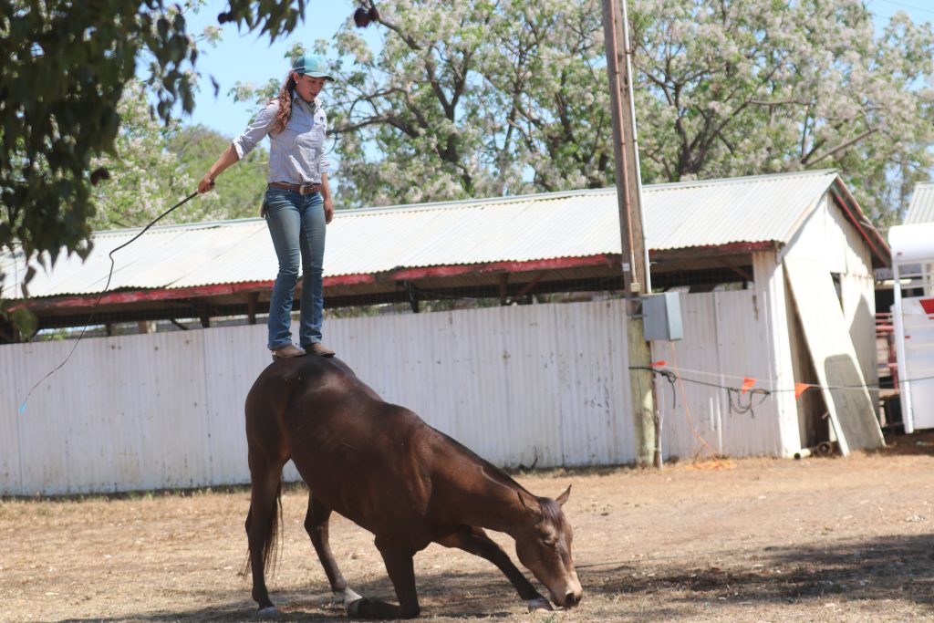 Kate Clancy entertains at the Narrabri Pony Camp - The Courier