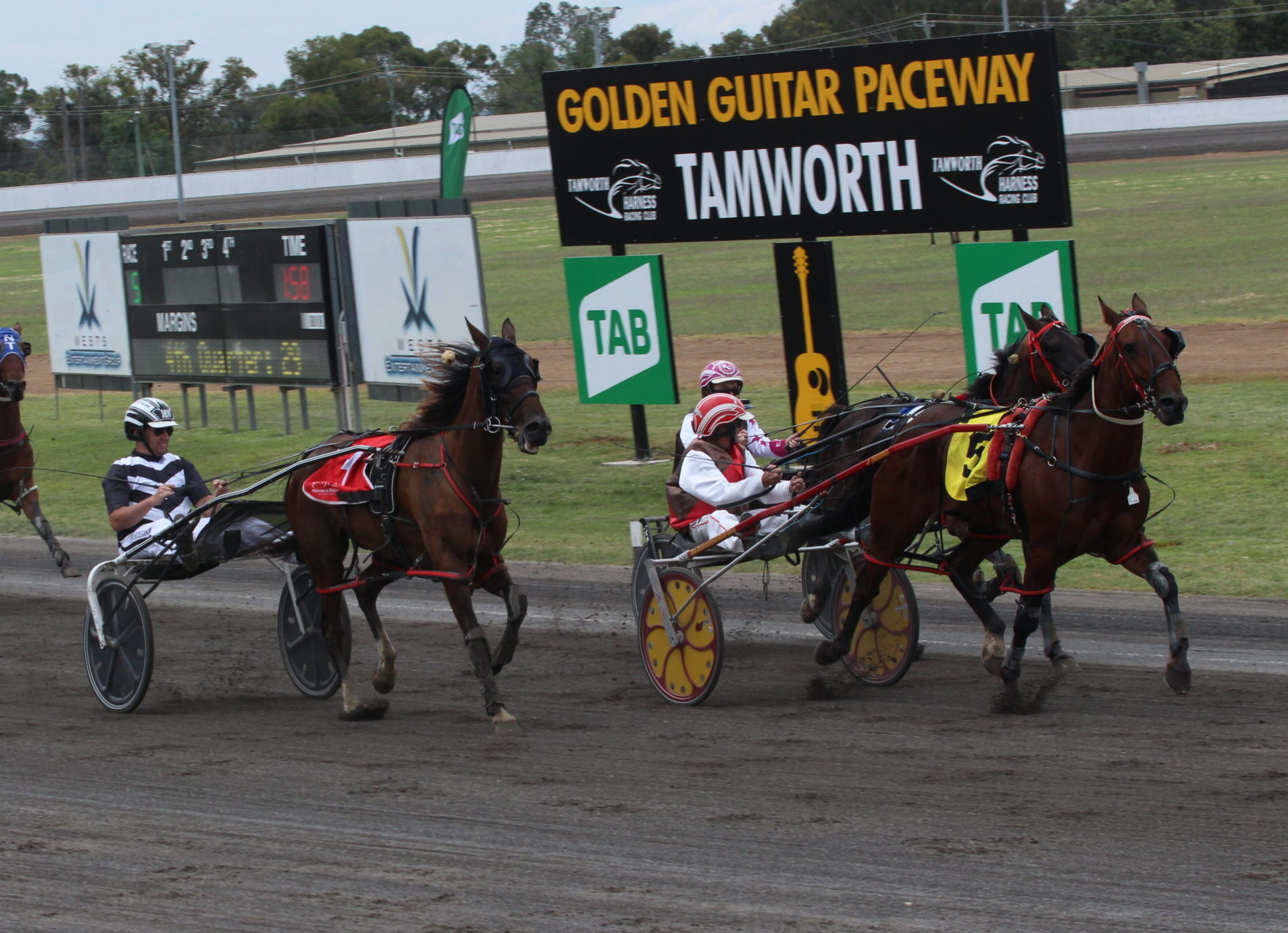 Killara Insanity places second at Tamworth meet - The Courier