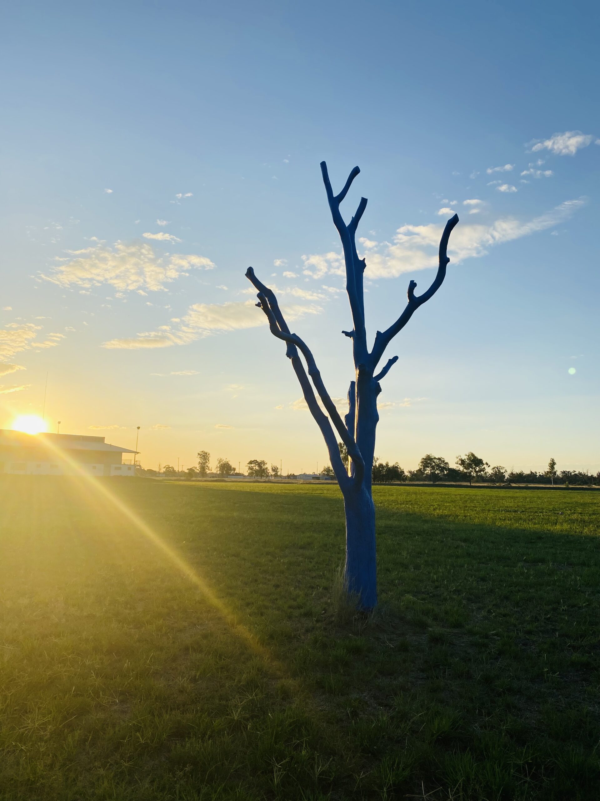 Wee Waa kicking the stigma one blue tree at a time - The Courier