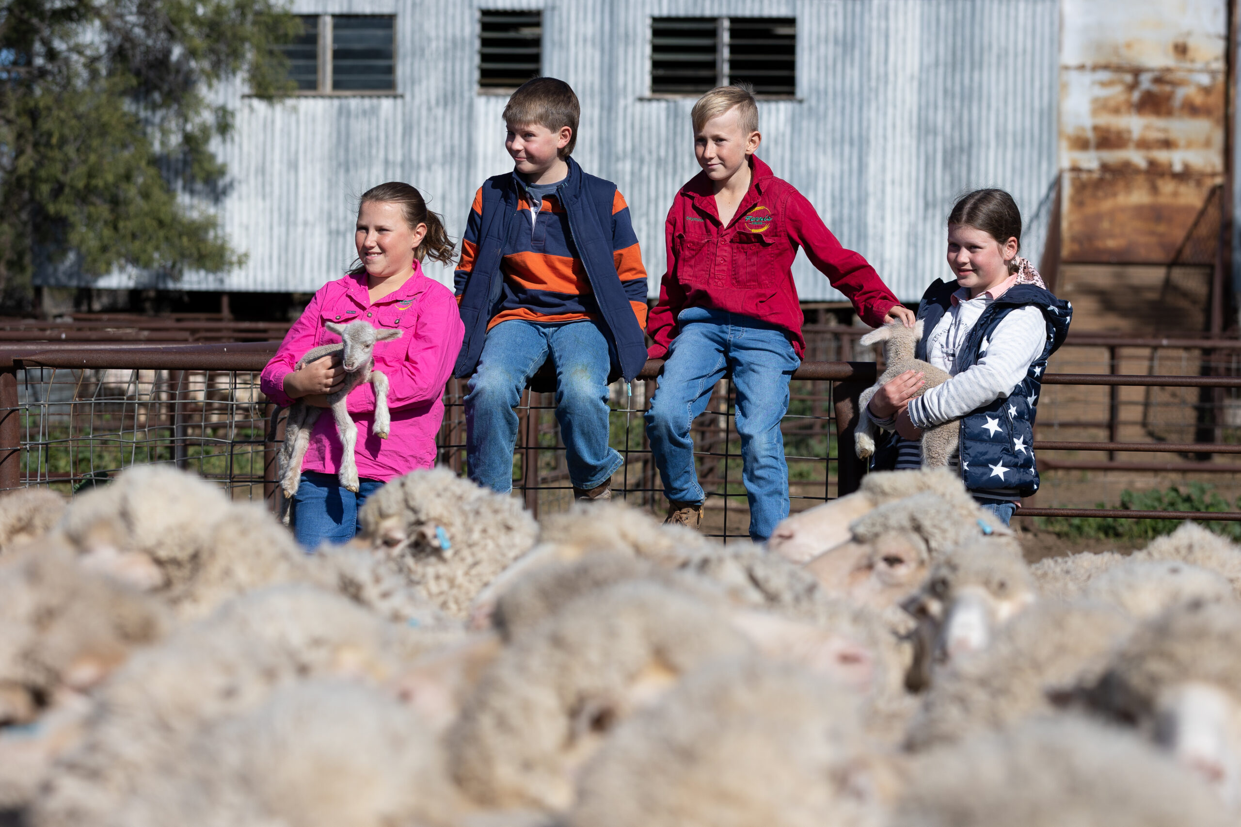 Burren Junction star of 2023 country calendar - The Courier