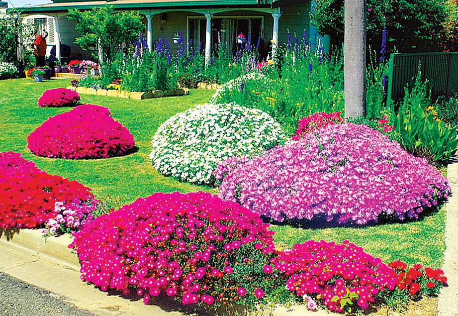 The Ryan’s create a spring garden delight - The Courier