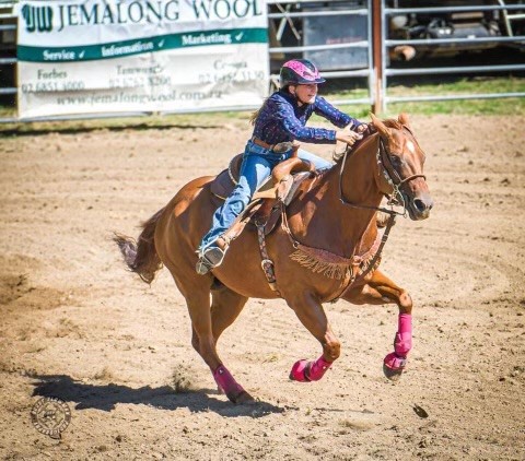 A family affair in the rodeo ring - The Courier
