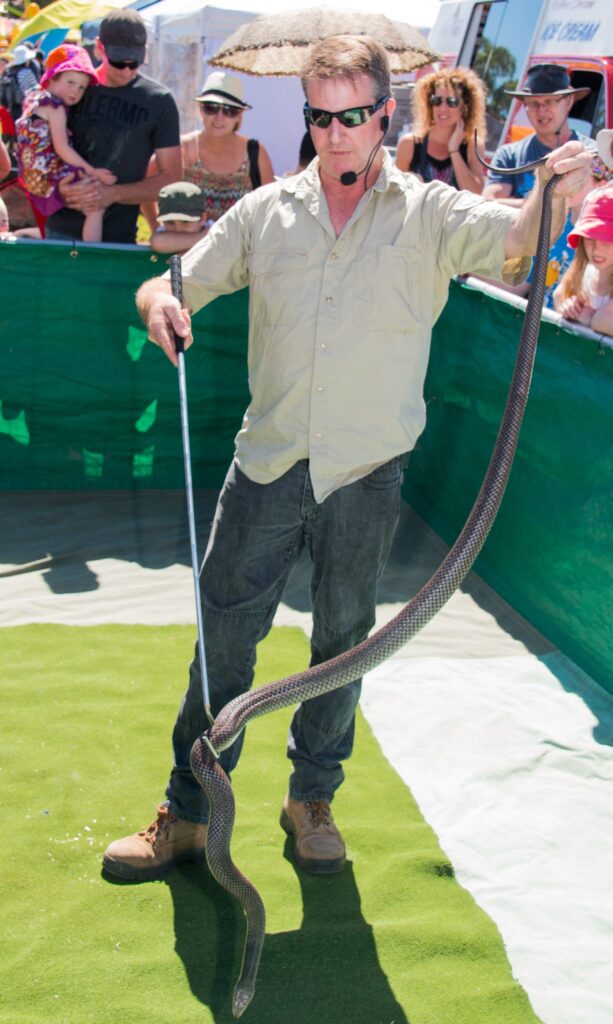 Action-packed Narrabri Show to get underway on Friday - The Courier