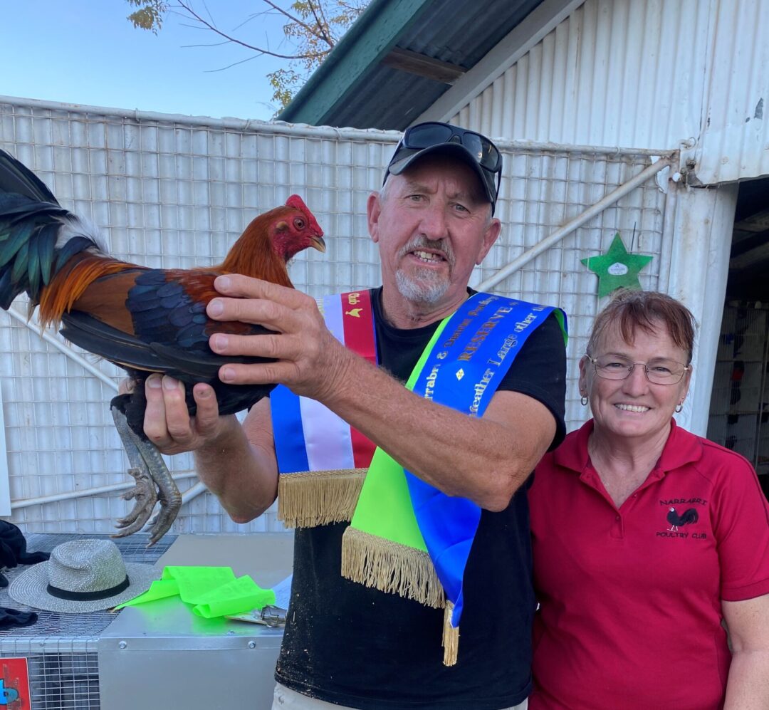 Pedigree poultry face the judges - The Courier