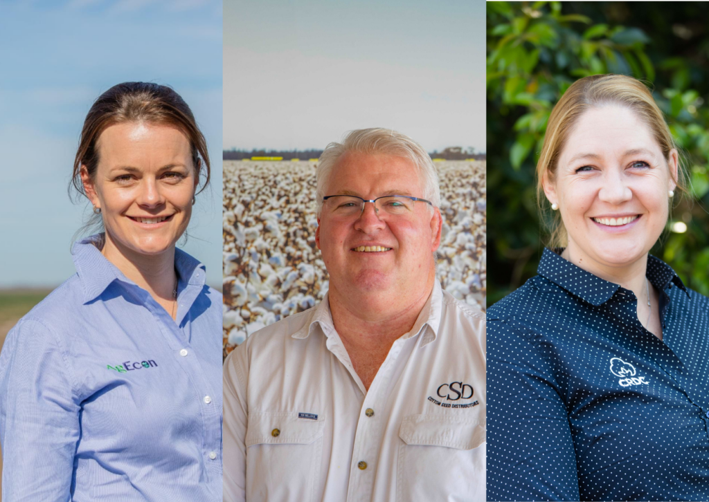 Uncovering key drivers of profitability in cotton production - The Courier