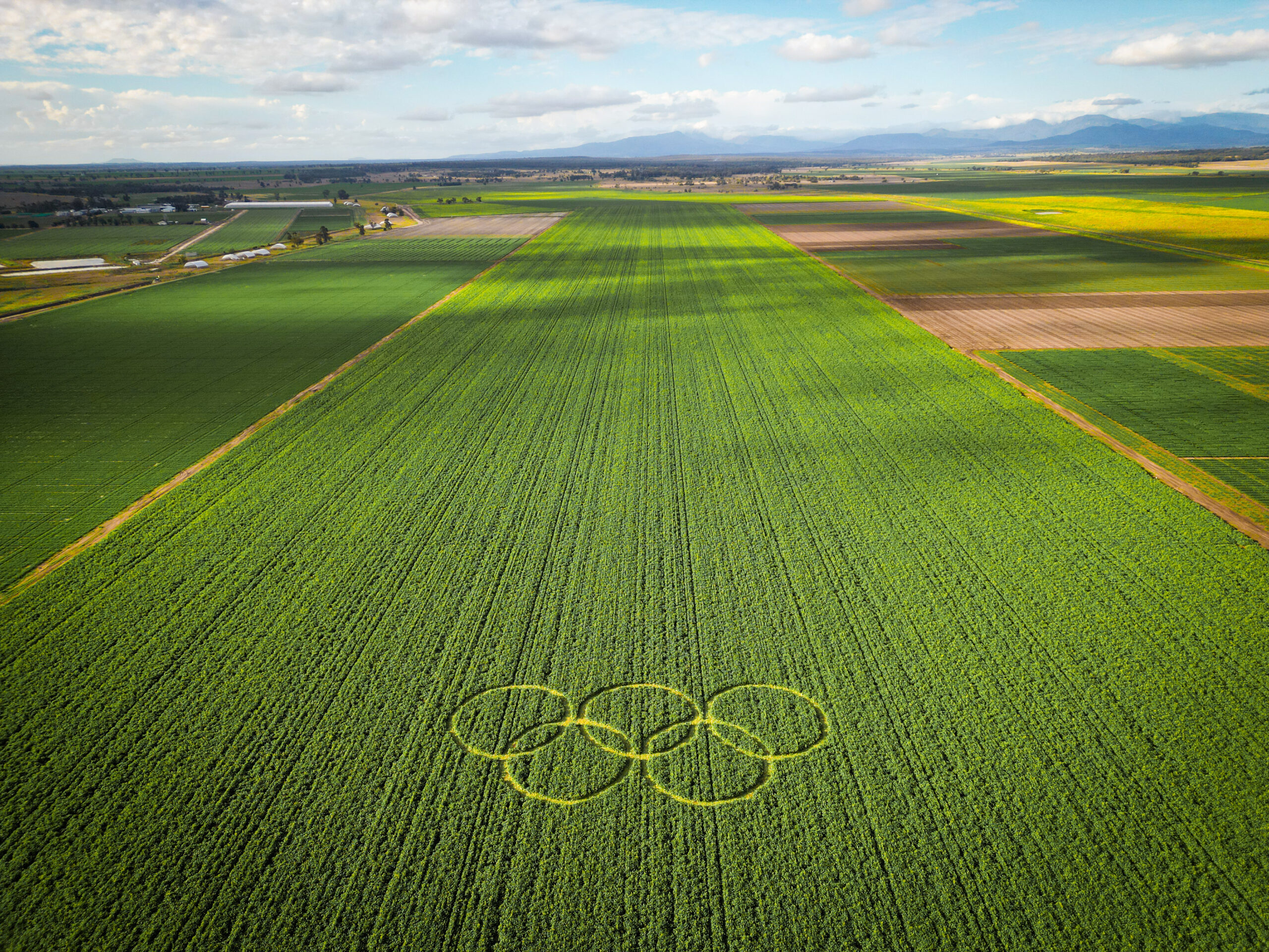 Shire buzzing with Olympic excitement - The Courier