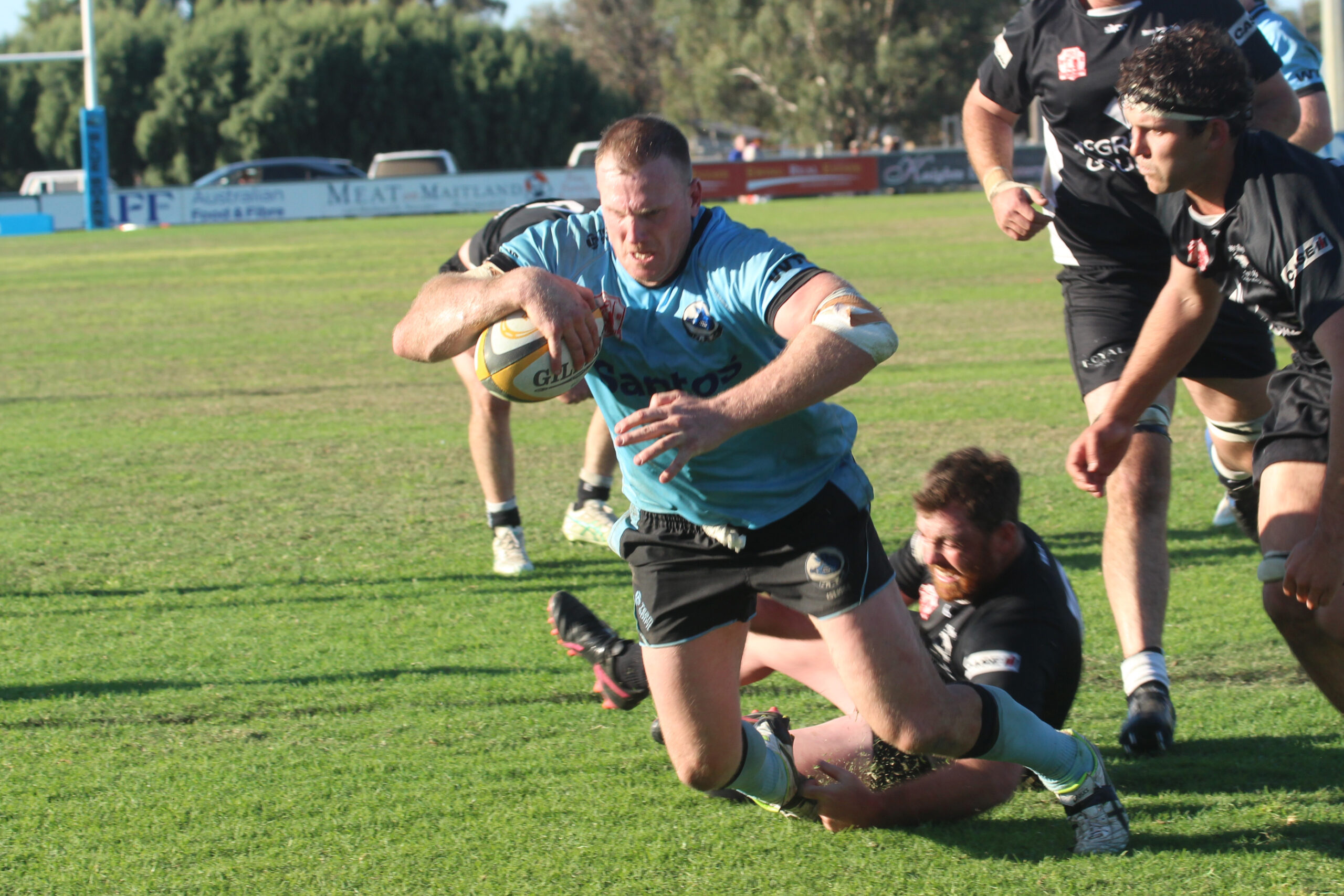 Jake Rumsby in a league of his own on grand final day - The Courier