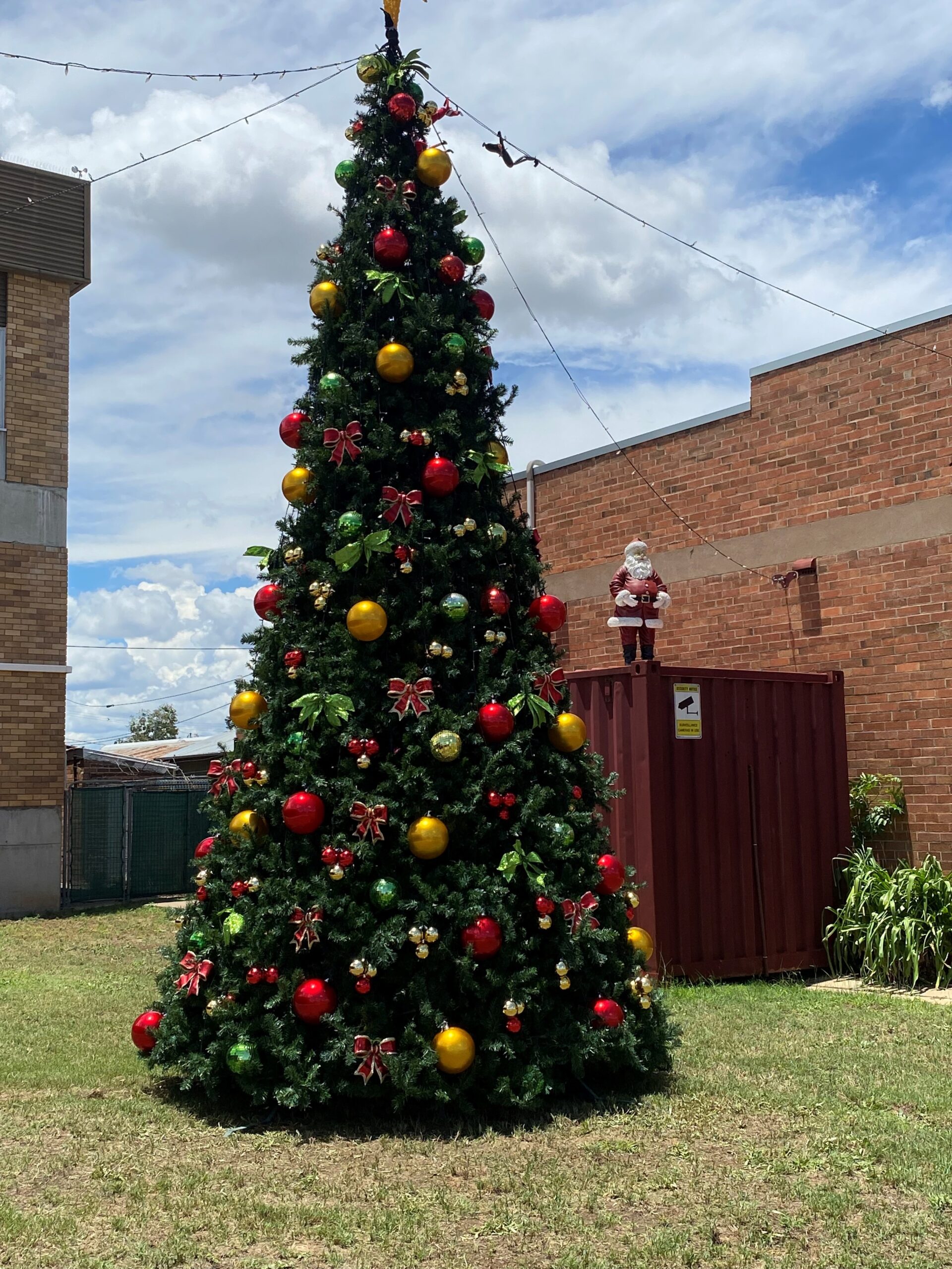 Chamber community Christmas tree returns - The Courier