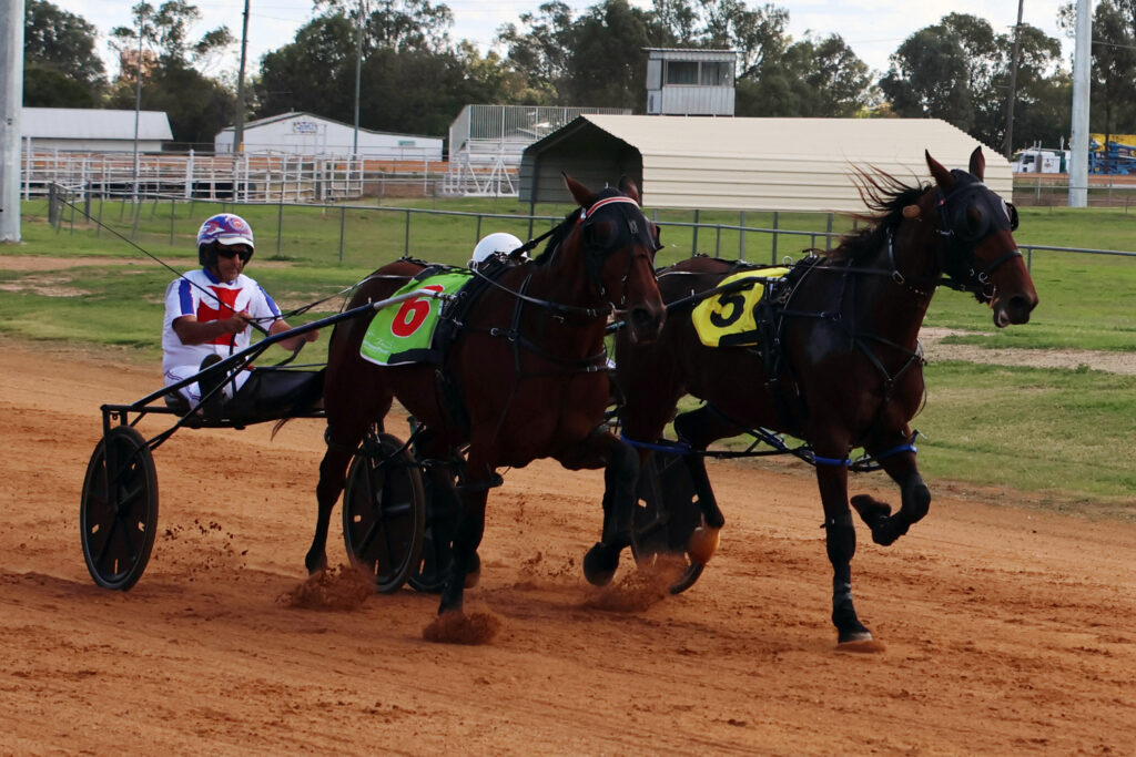 Hetherington pacers impress as harness racing returns to Narrabri - The ...