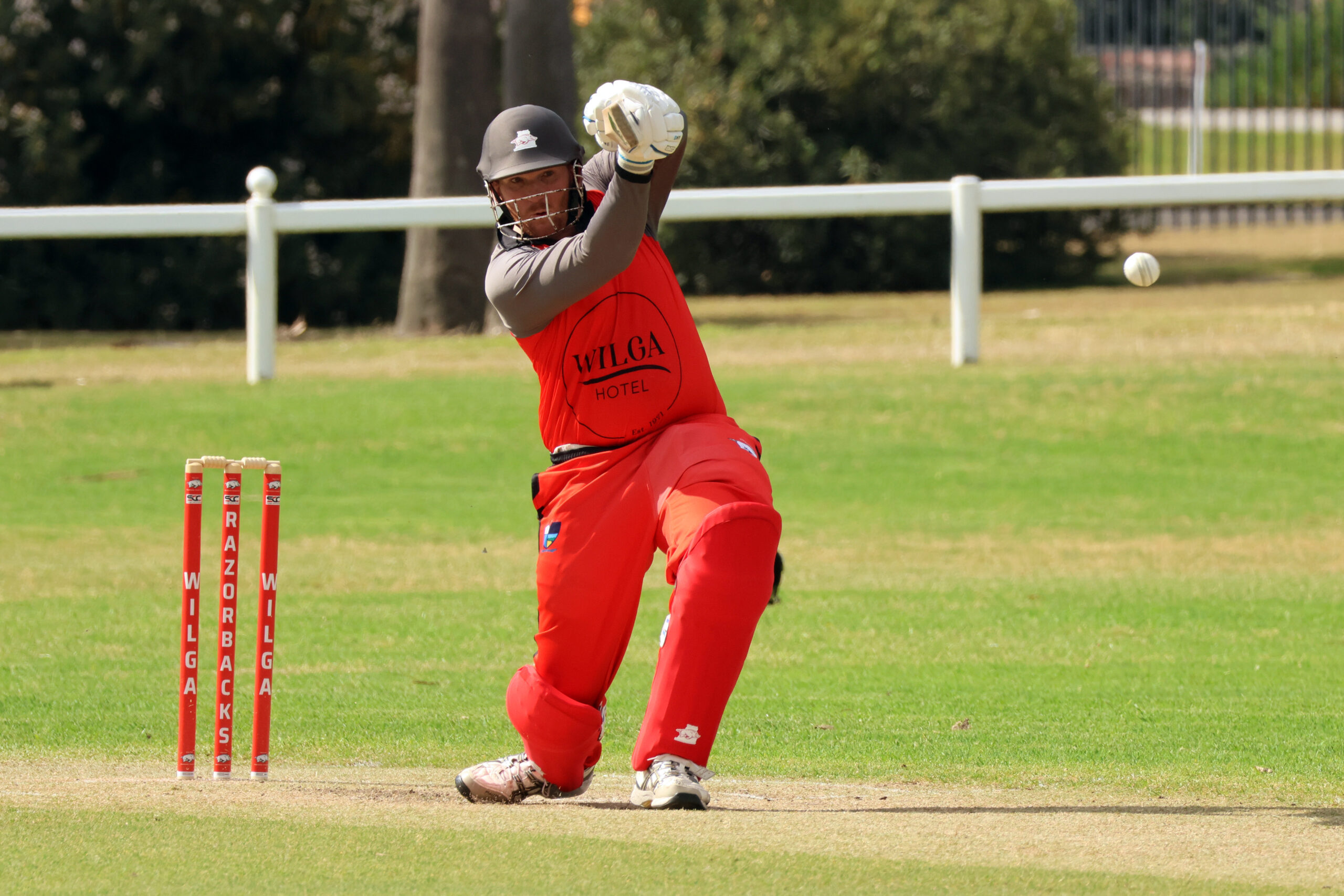 Wilga Hotel Razorbacks demolish RSL in the NDCA first grade one day ...