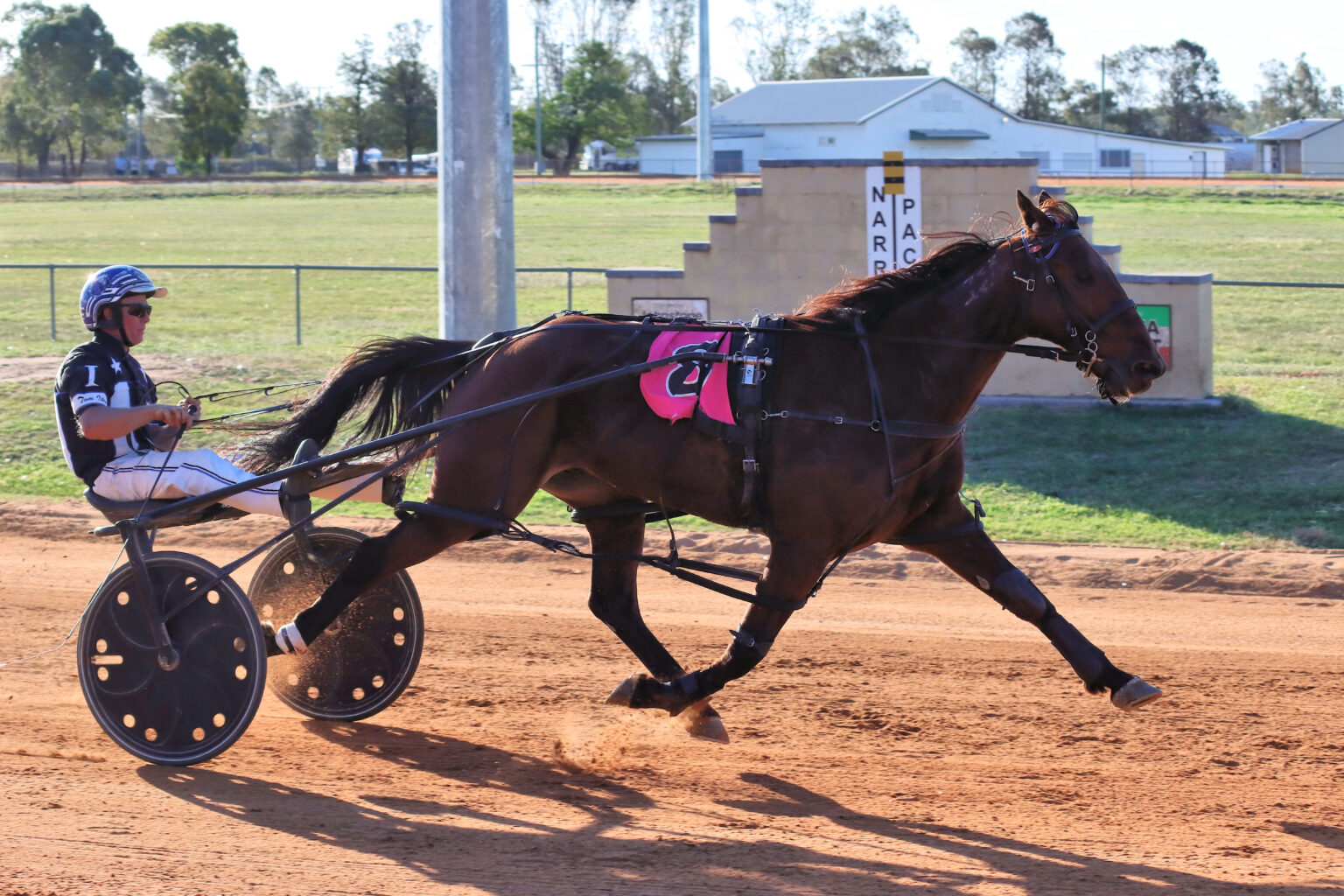 Tom Ison and Arnies Army set a new track record at the Narrabri ...